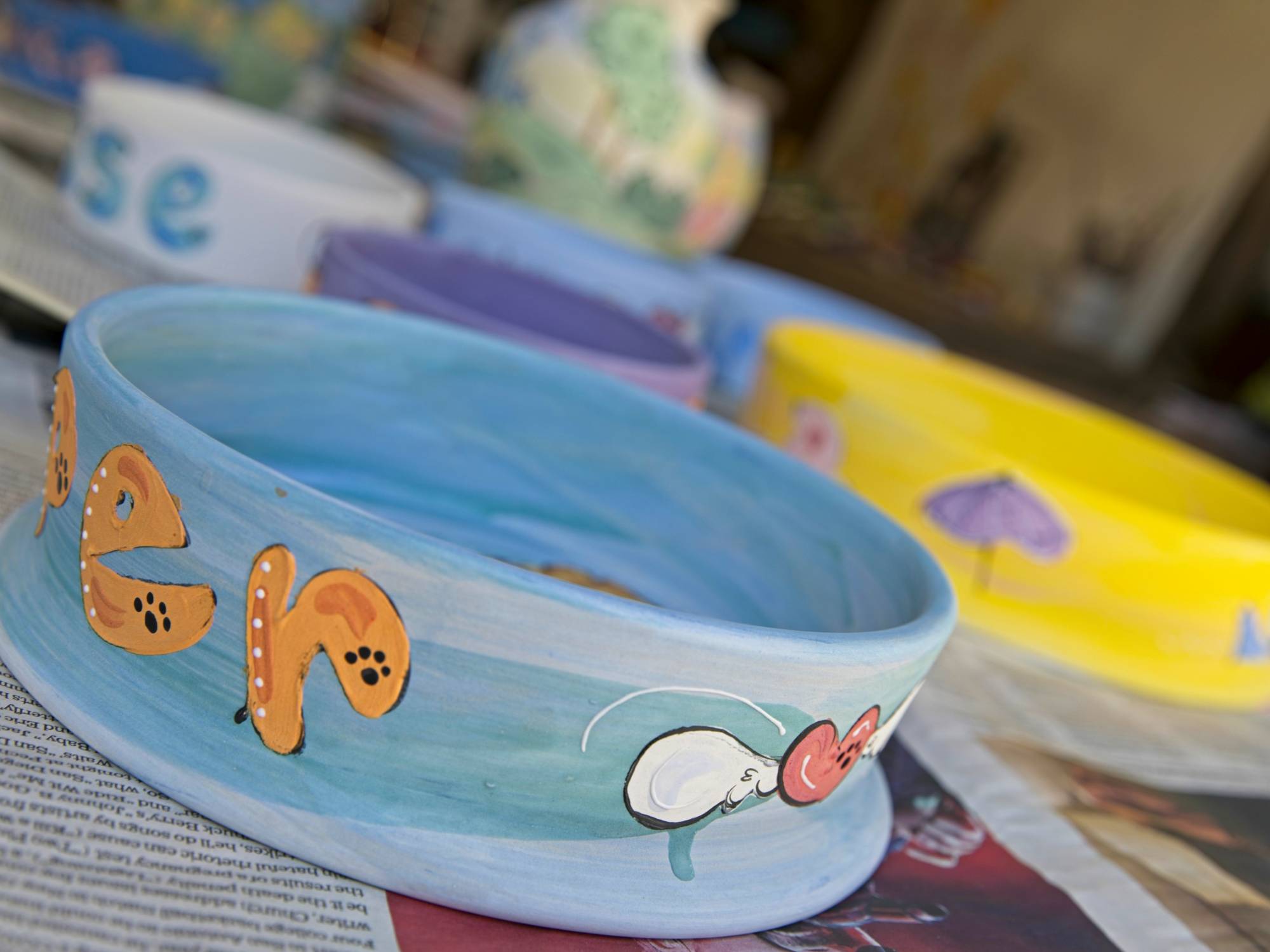 Custom Pet Products Online in Laguna Beach, CA – Faux Paw Productions